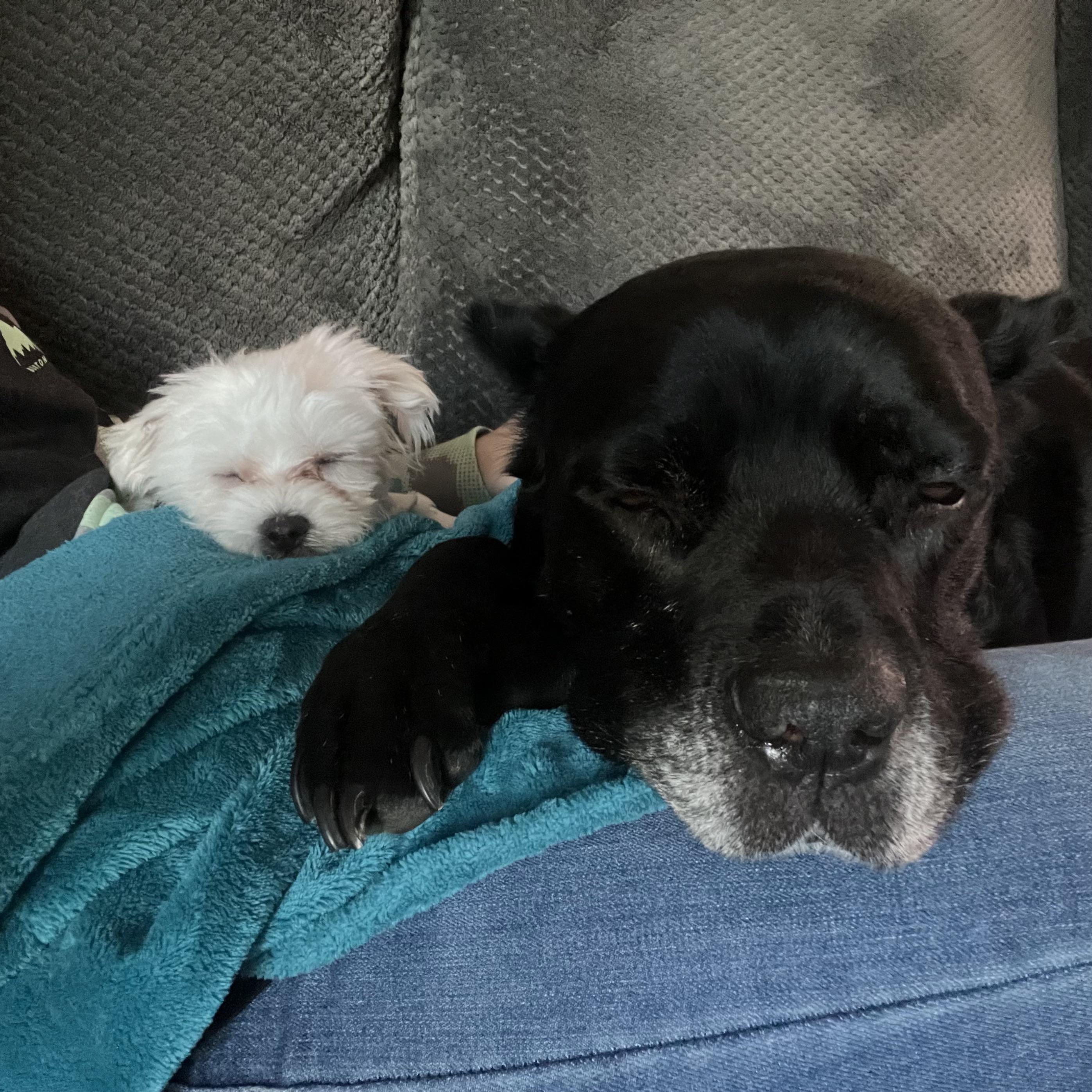 Sleepy time | Scrolller