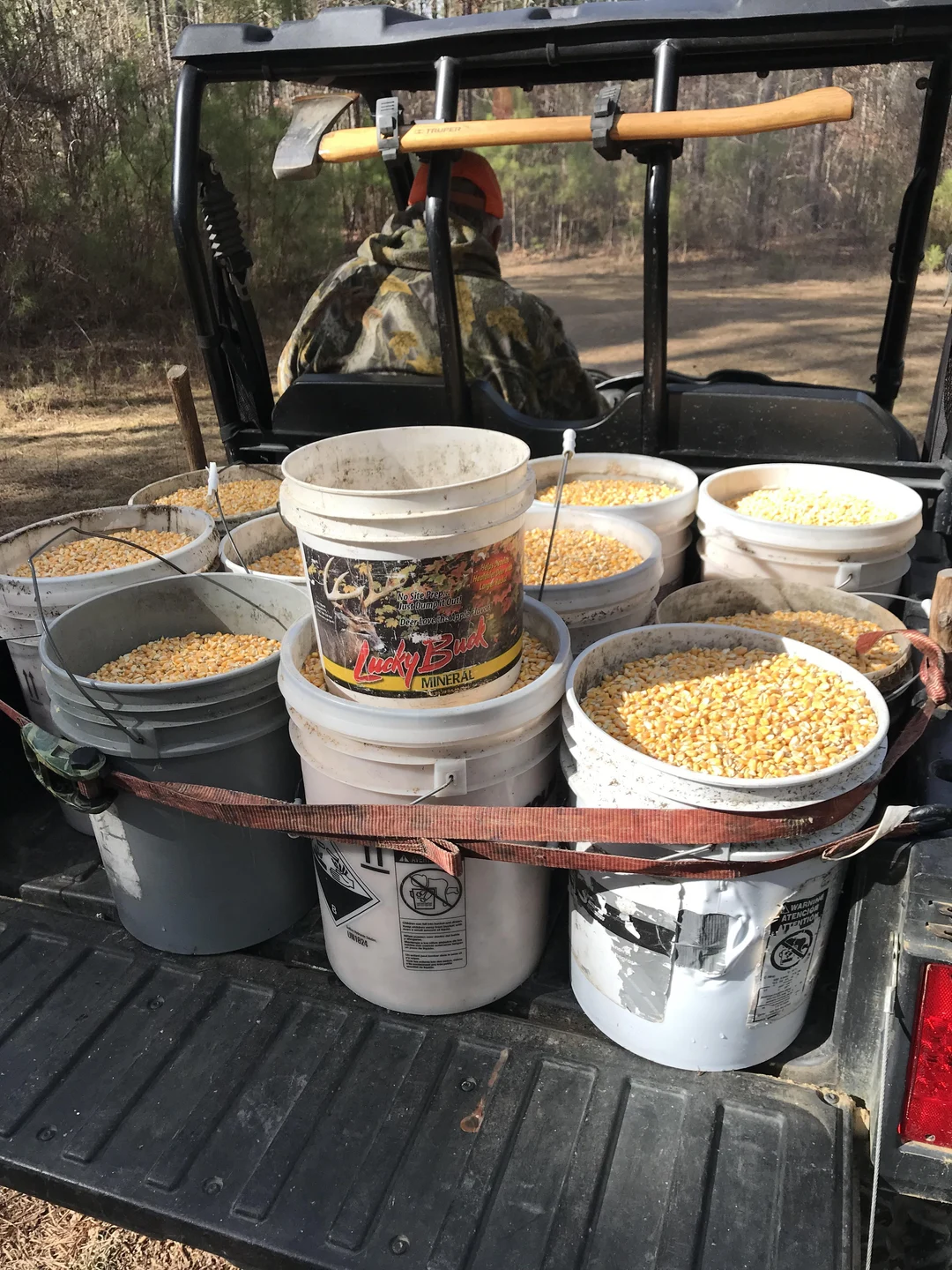 Time to fill up feeders ! | Scrolller