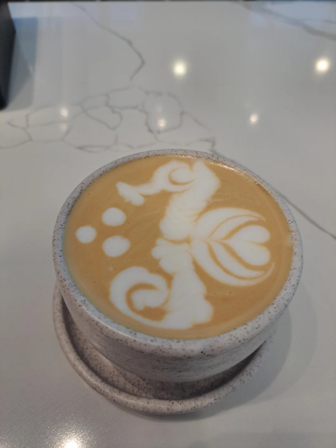 Seahorse latte | Scrolller