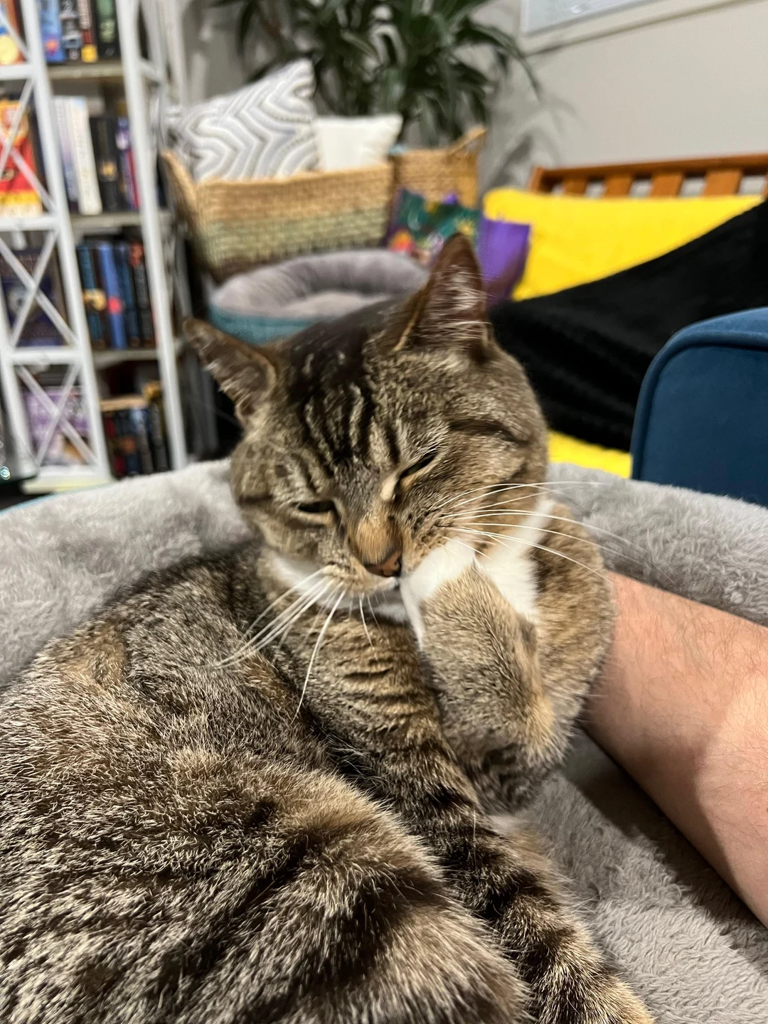 The Thinker | Scrolller