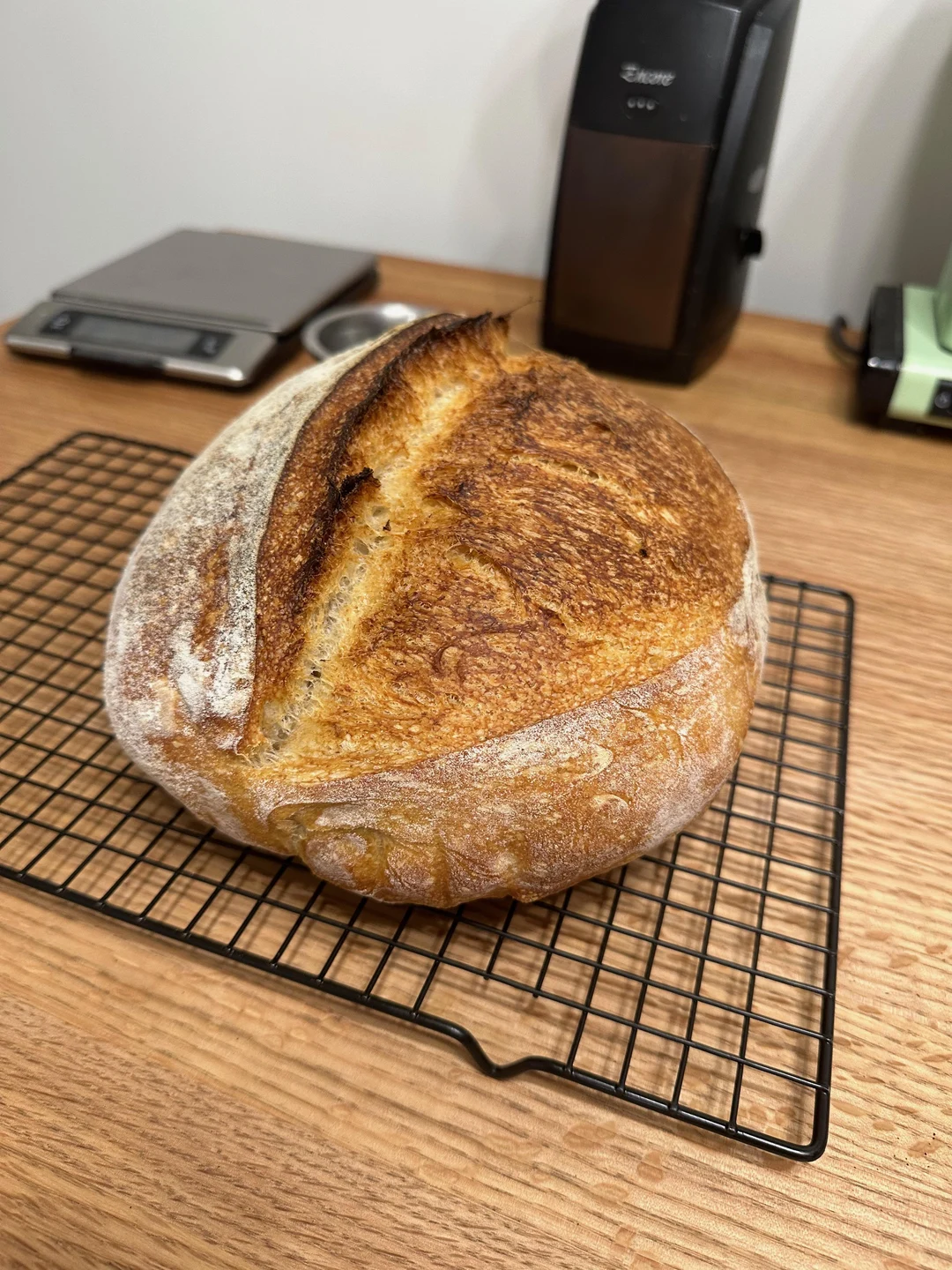 After 10 months of work, finally seeing some great results with my sourdough. | Scrolller