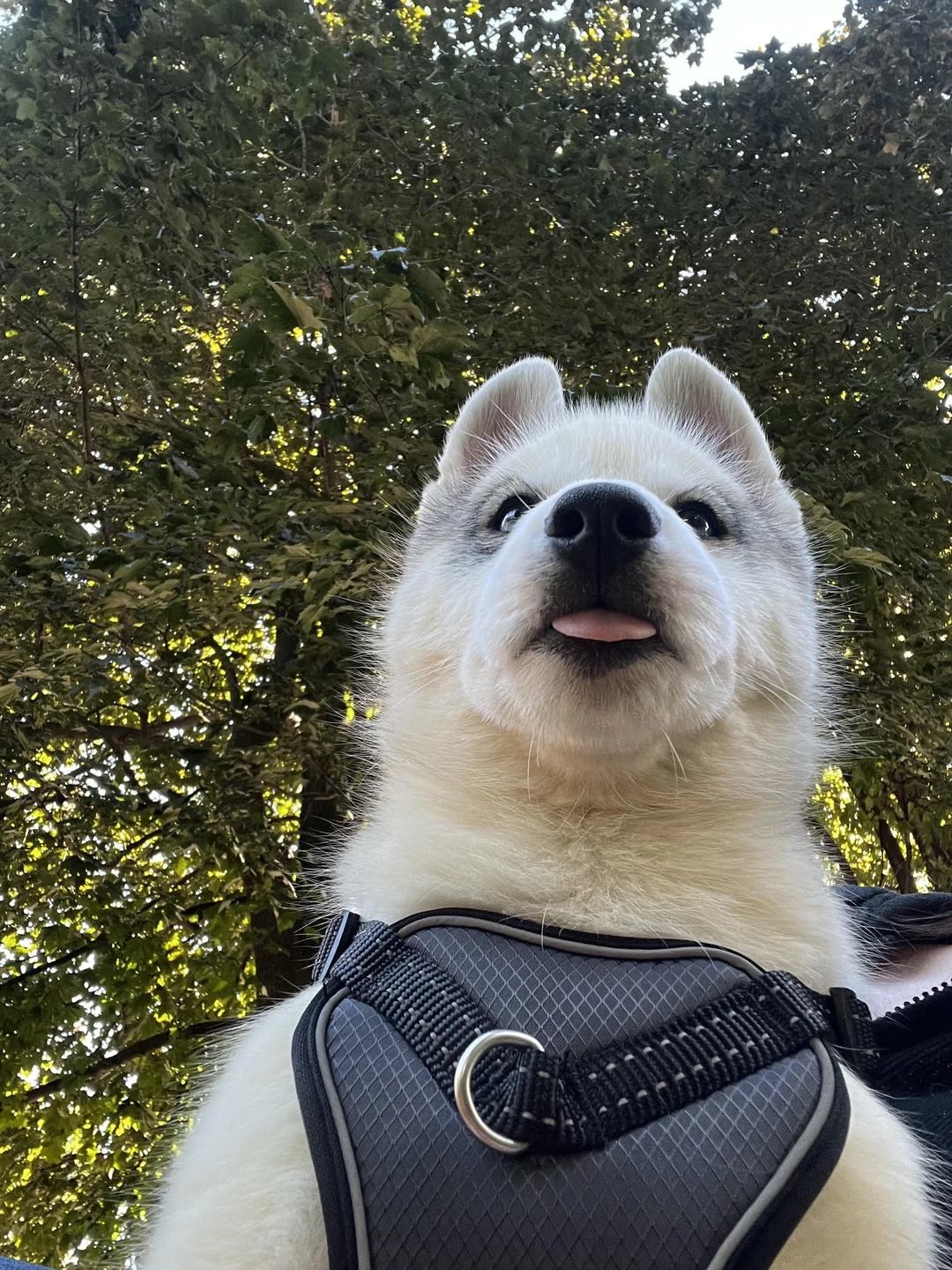 Bird watching | Scrolller