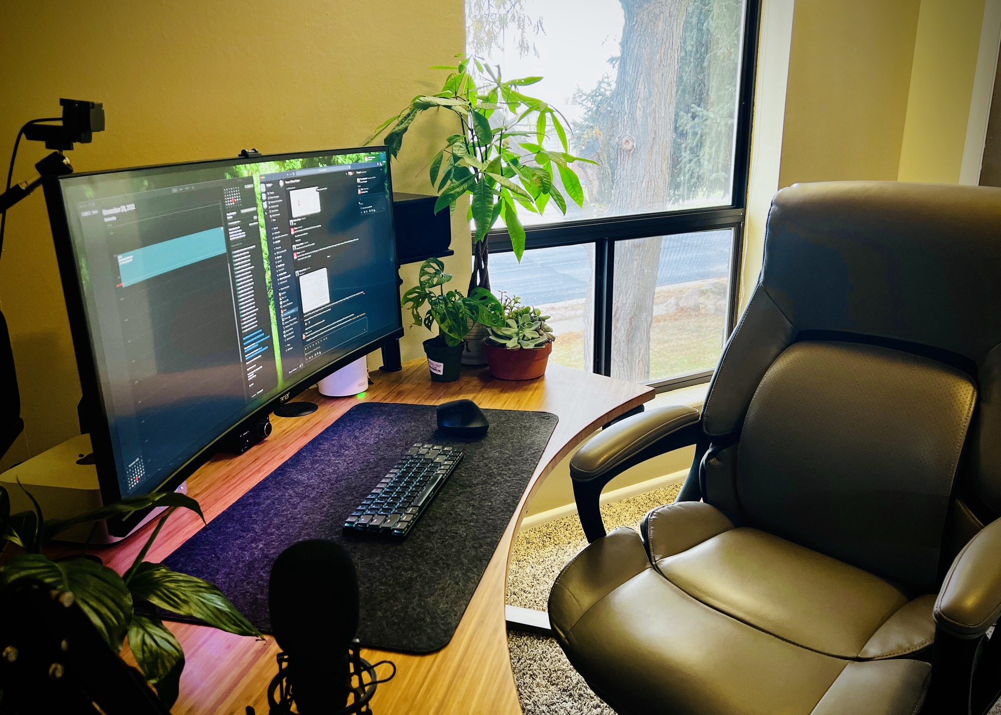 WFH Web Dev Setup | Scrolller