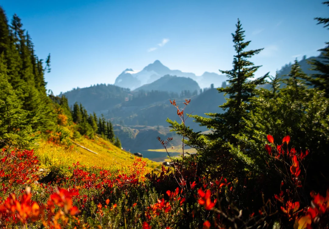 [OC] [2560x1777] Alpine Meadows under Mt. Shuksan, Washington, USA | Scrolller