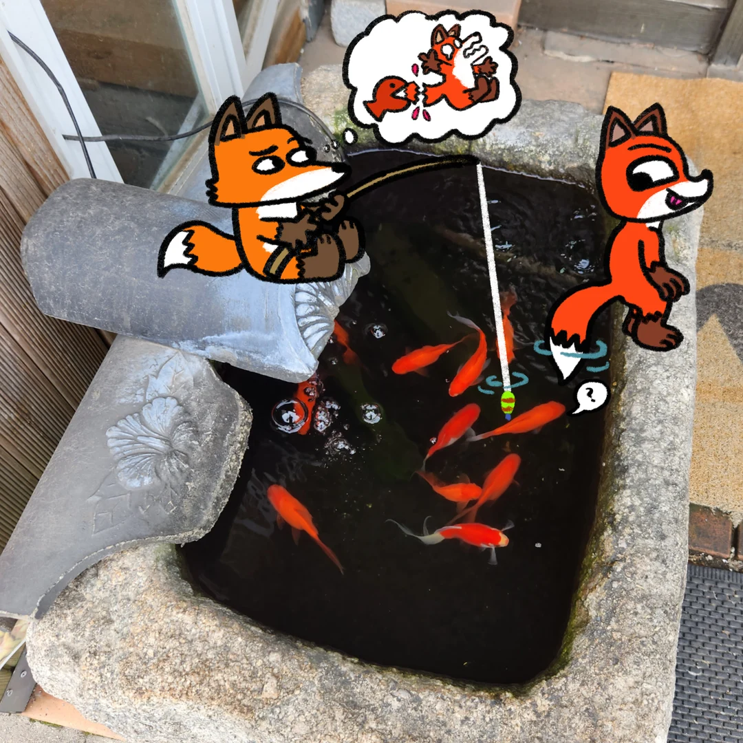 Foxes are fishing. 🦊🎣 | Scrolller
