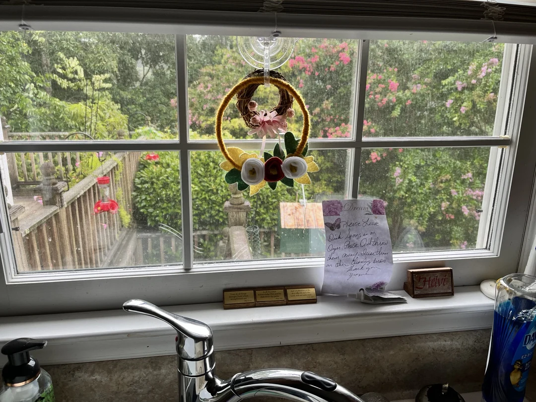 It just started raining looking out from grandma’s kitchen sink ...