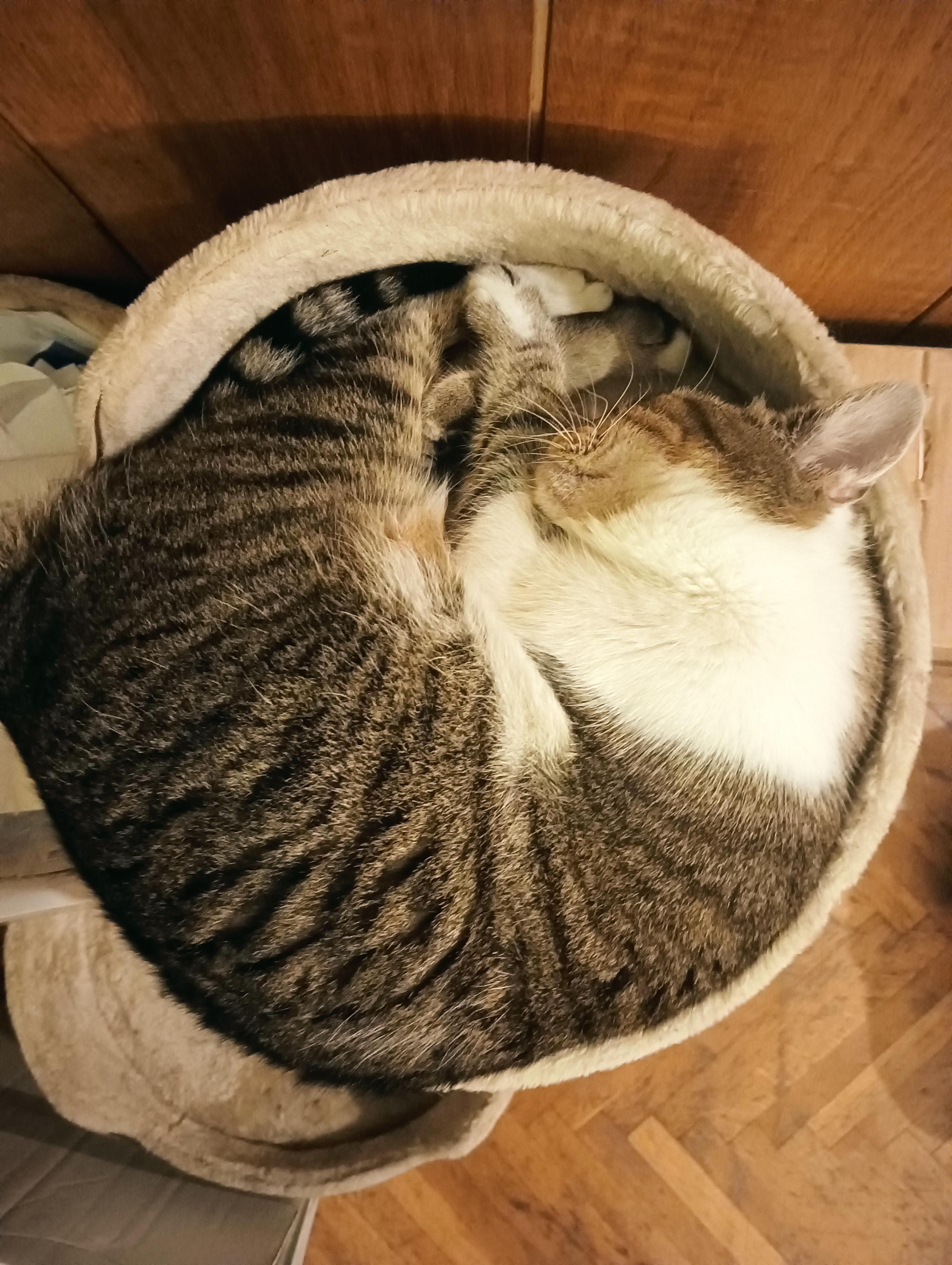 Perfect fit | Scrolller