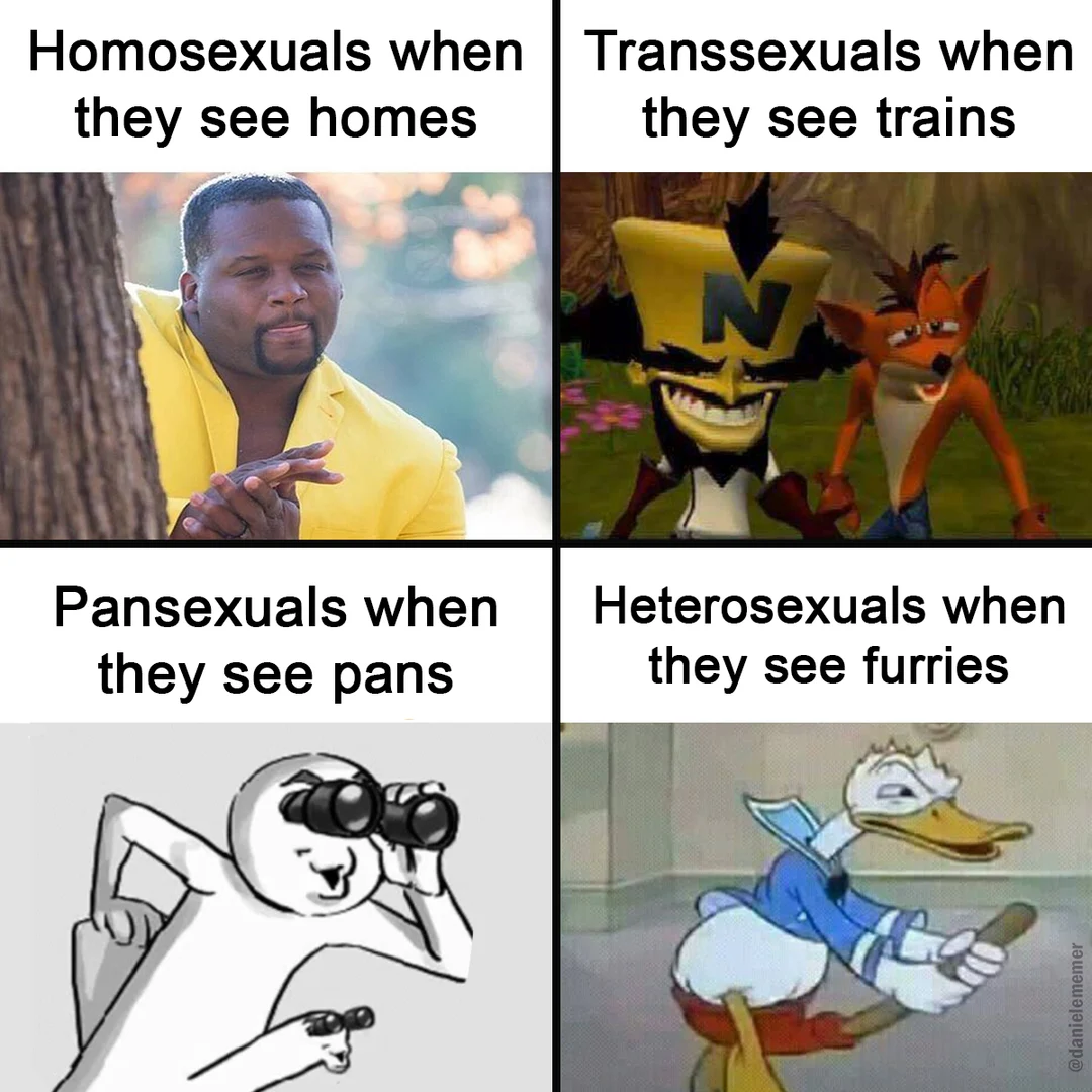 All the sexualities explained. | Scrolller