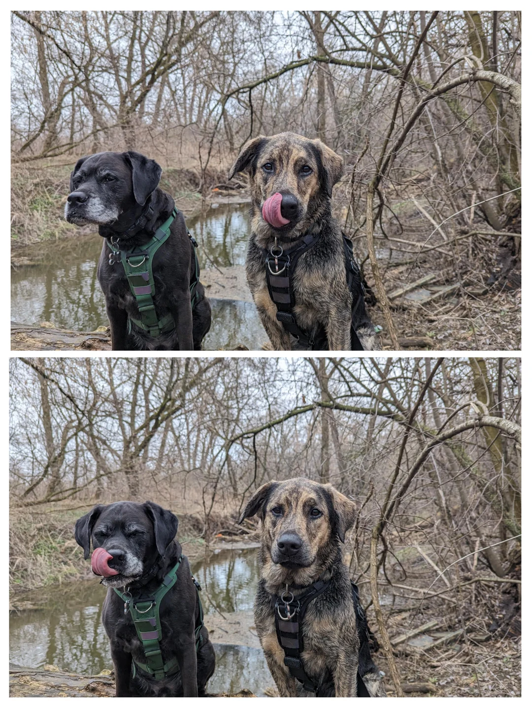 Hold still! | Scrolller