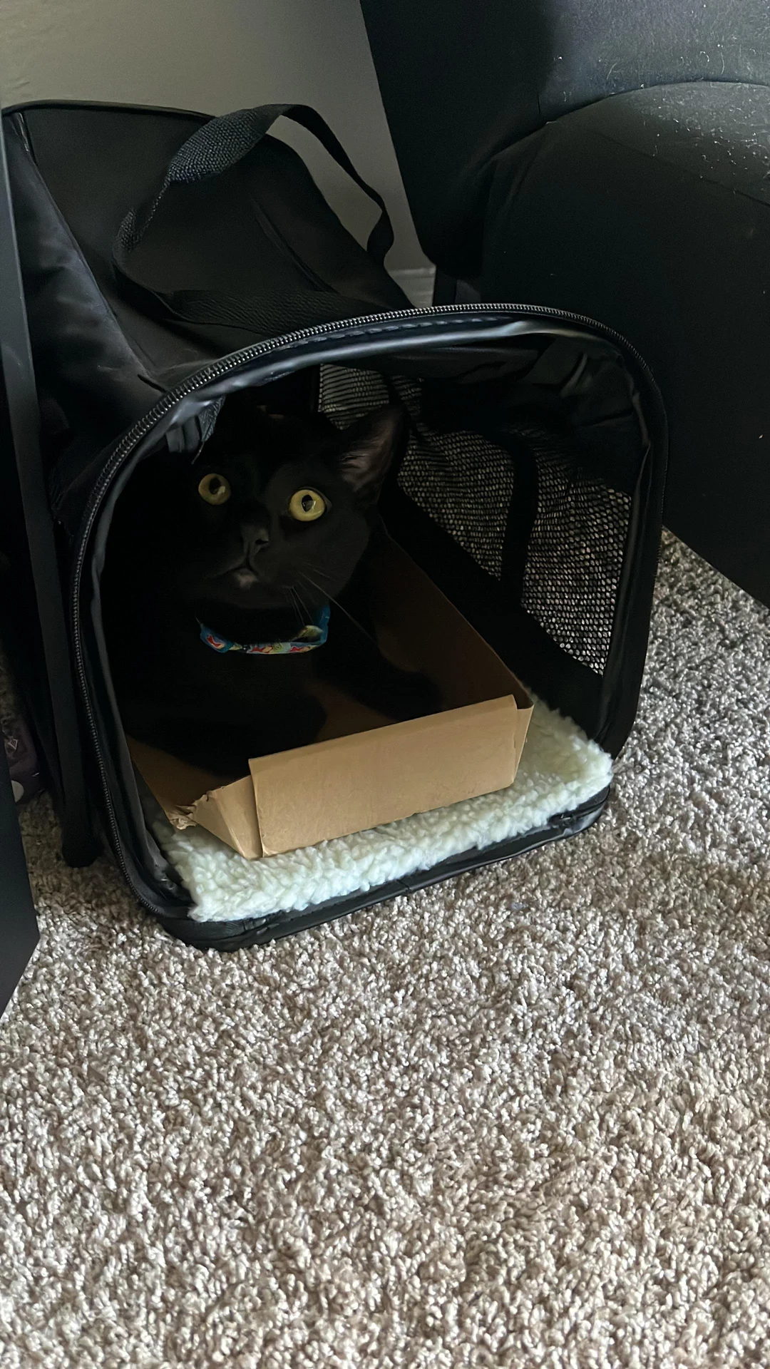 It’s a trap within a trap!! | Scrolller