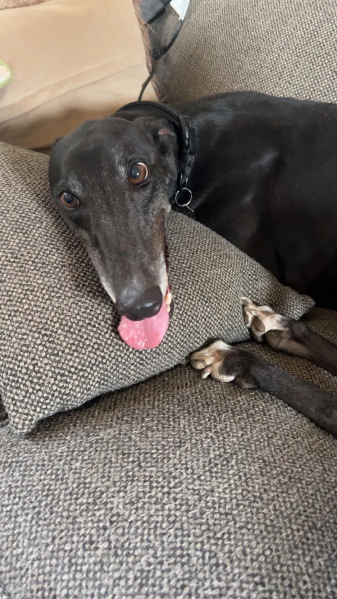 Tips and tricks | Scrolller