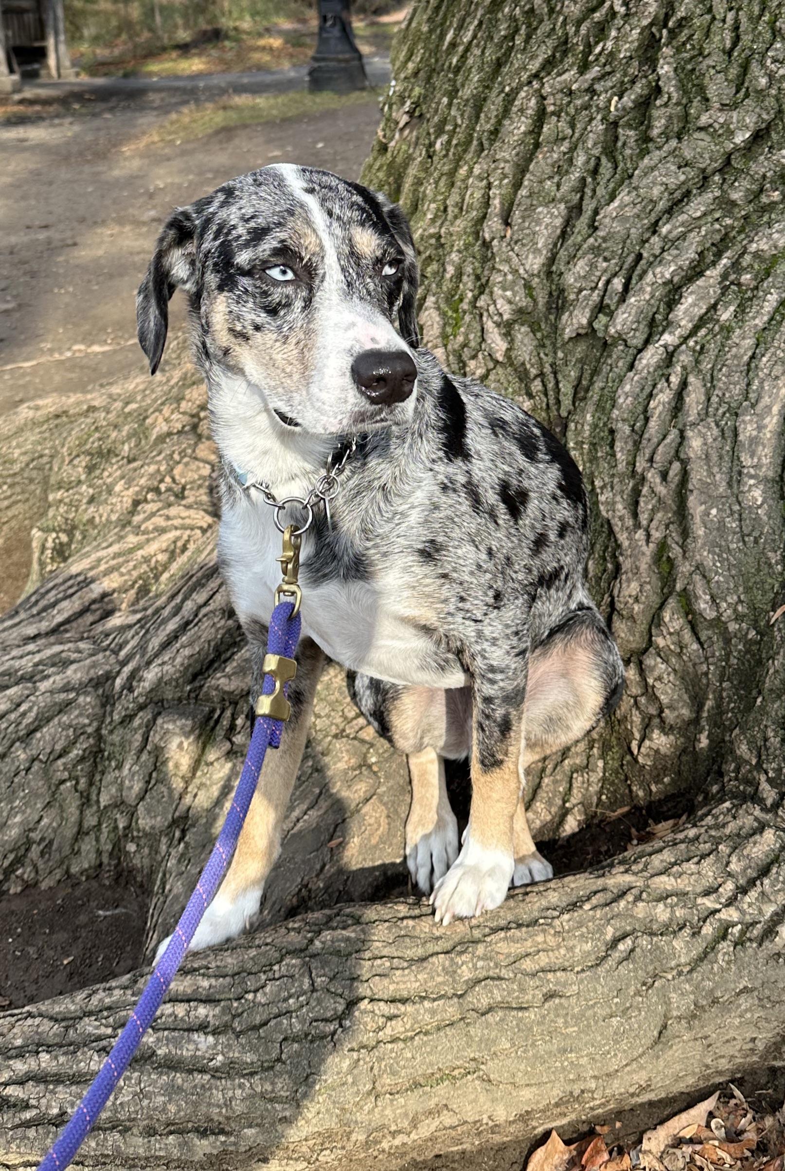 Demanded to sit in a tiny nook with his paws crammed in | Scrolller