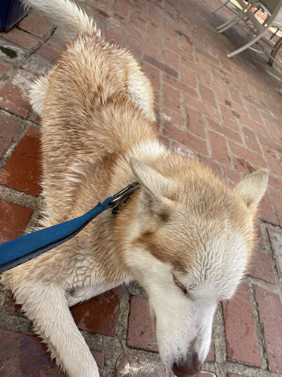My boy likes to go Super Saiyan during his bath time | Scrolller
