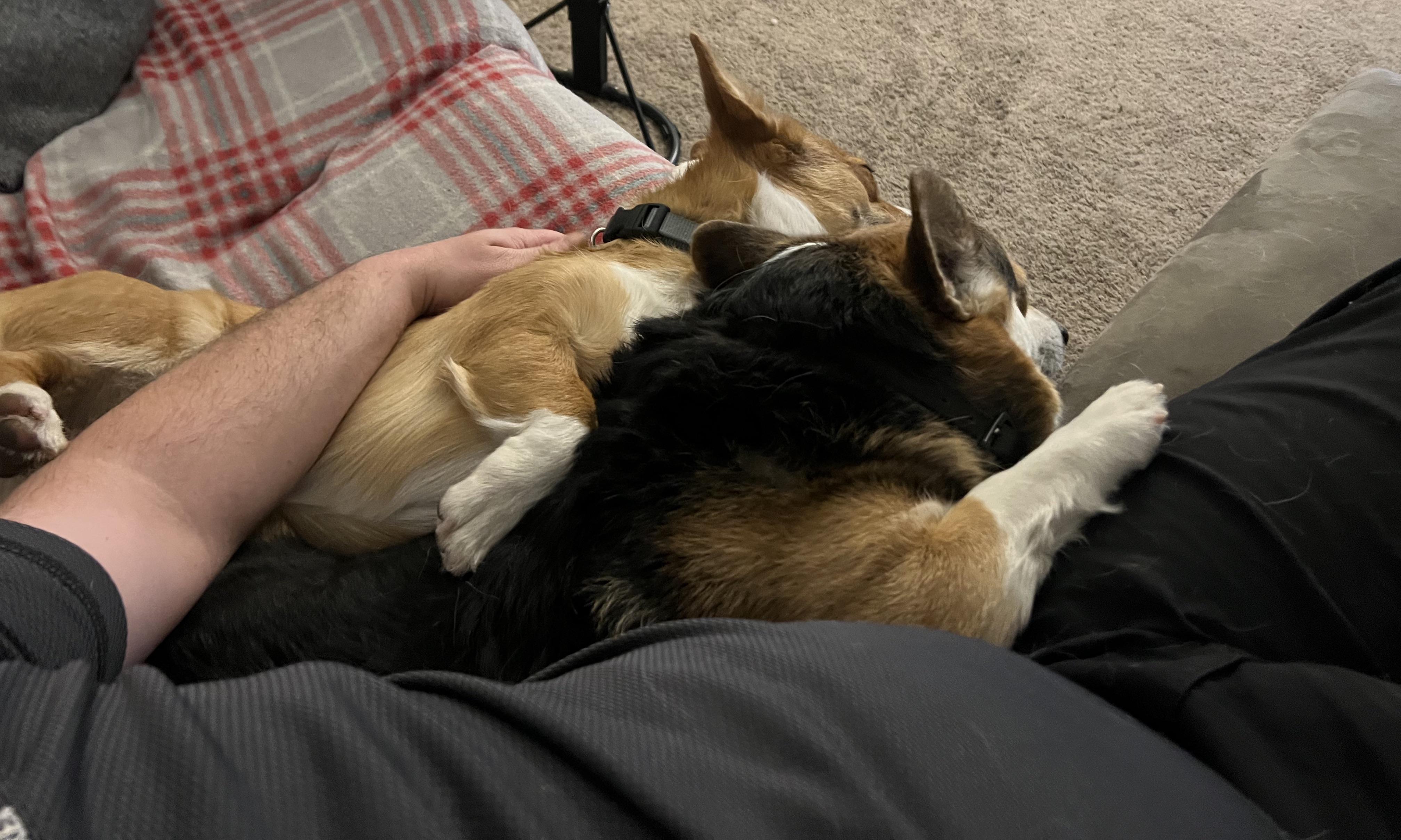 Heres my children | Scrolller