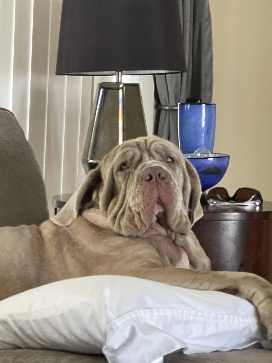 Oh Carmela Marie!! | Scrolller