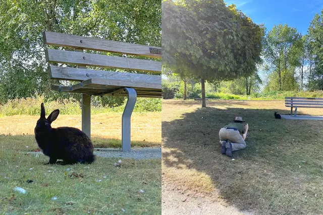 My picture versus my wife's picture. | Scrolller