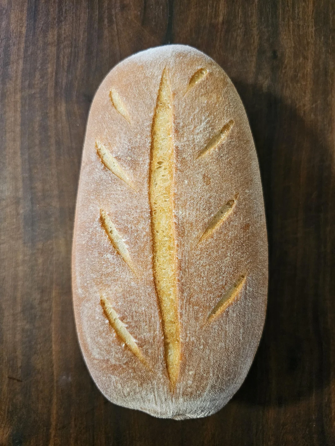 Rustic forest loaf from small elven bakery [OC] | Scrolller