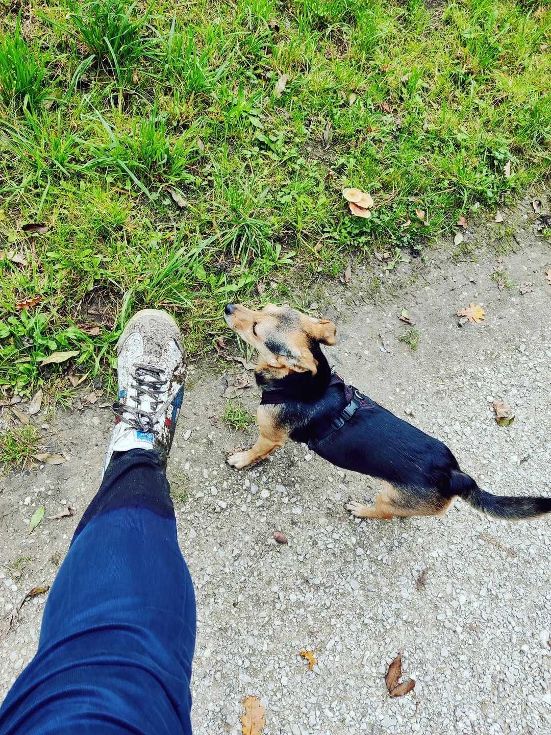 Muddy feet | Scrolller