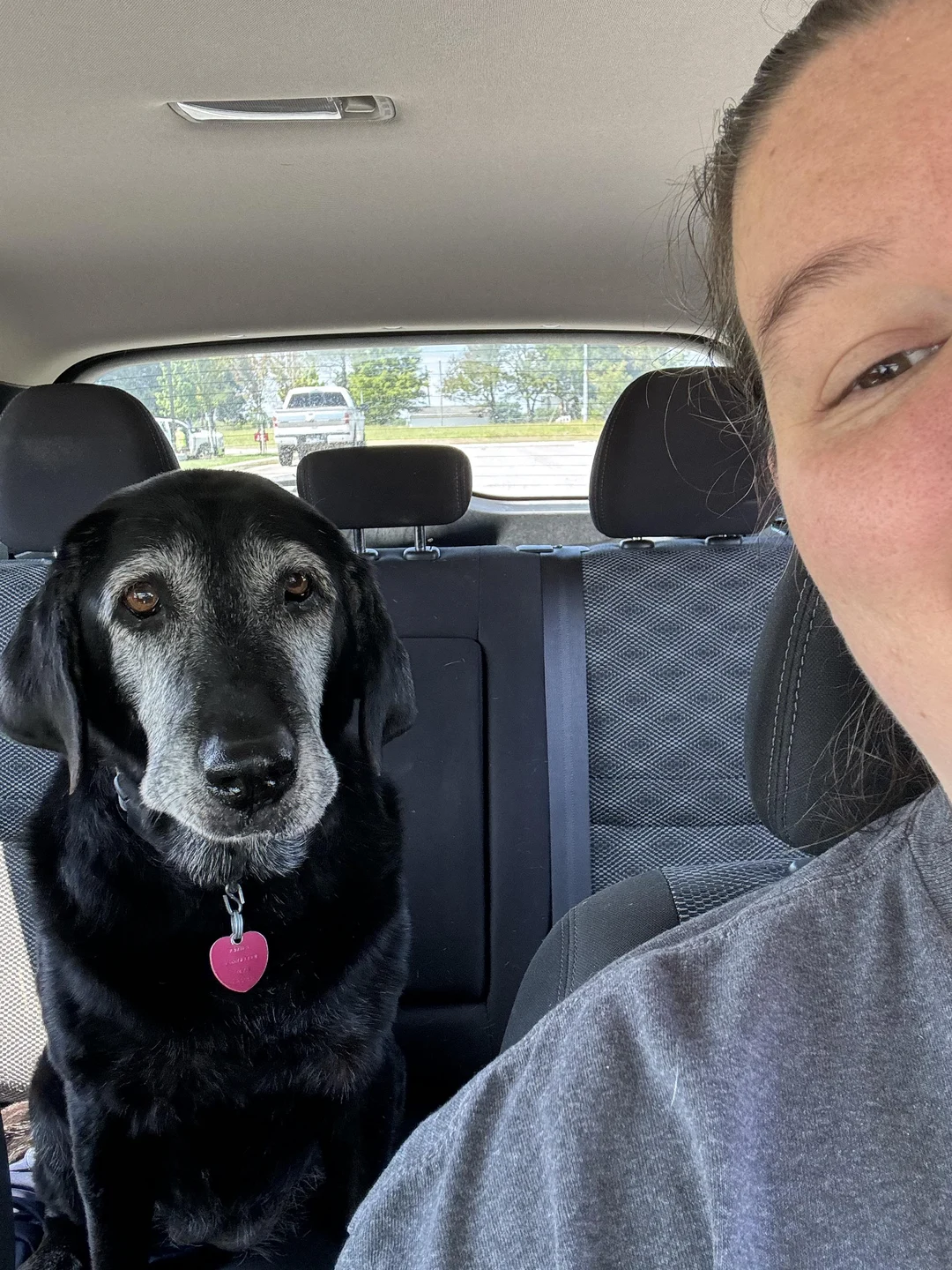 This is the face of a dog that doesn’t understand why there are only 4 nuggets in her Wendy’s 4 ...