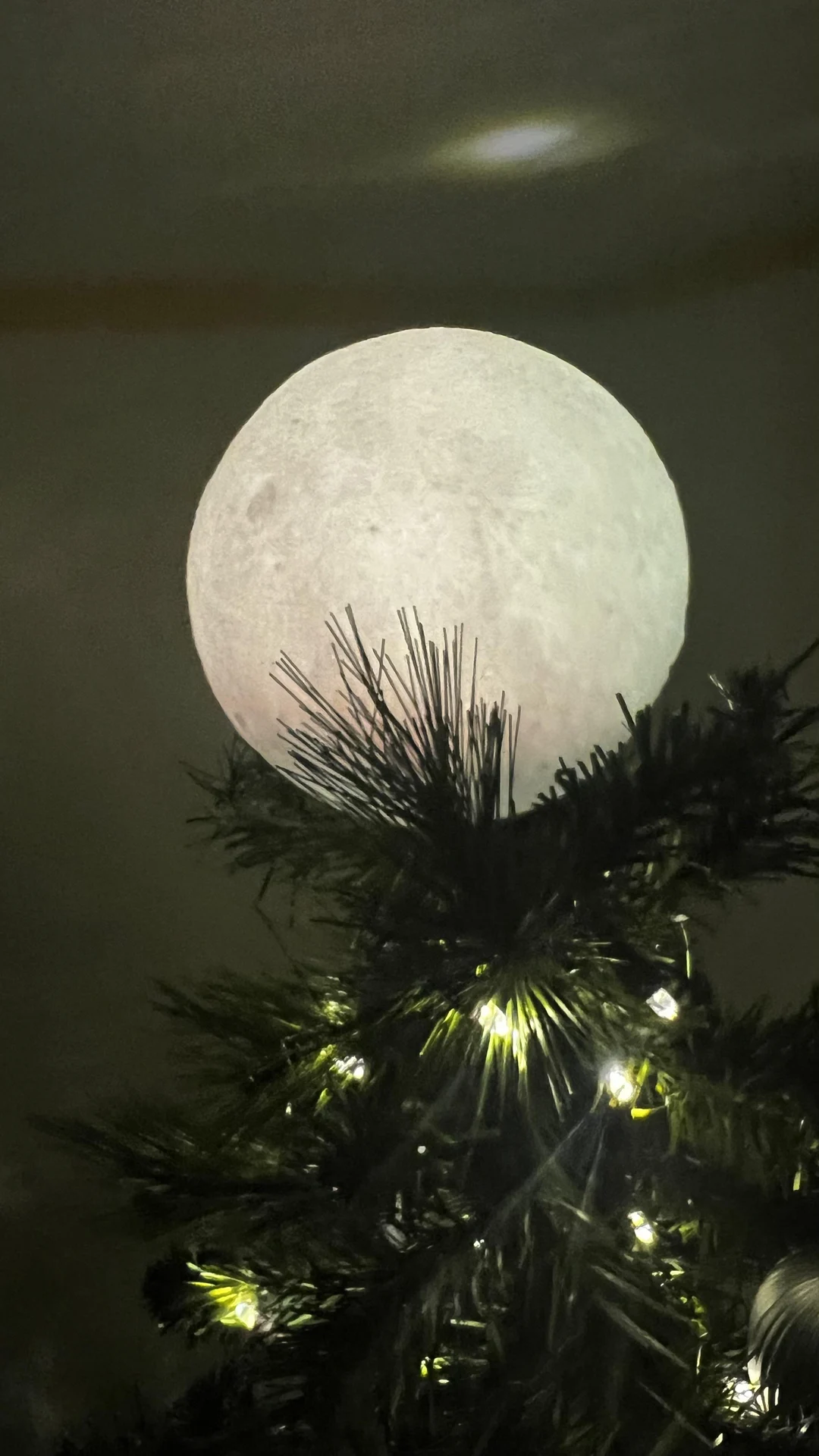 Moons Over My Santi | Scrolller