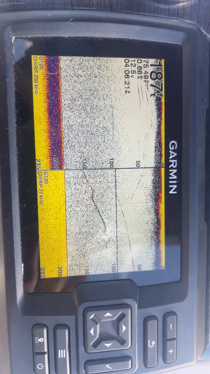 Reading radar | Scrolller