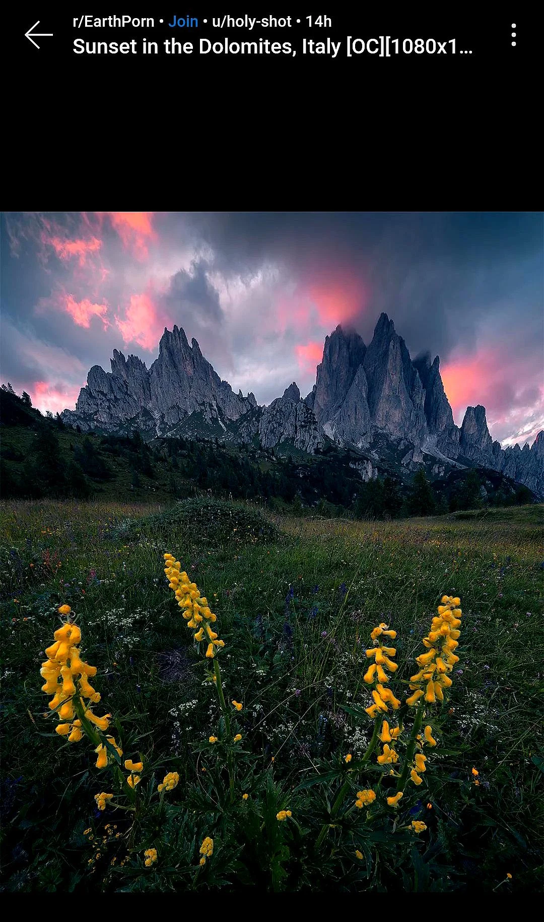 This photograph was posted in another sub and it SCREAMS Skyrim | Scrolller