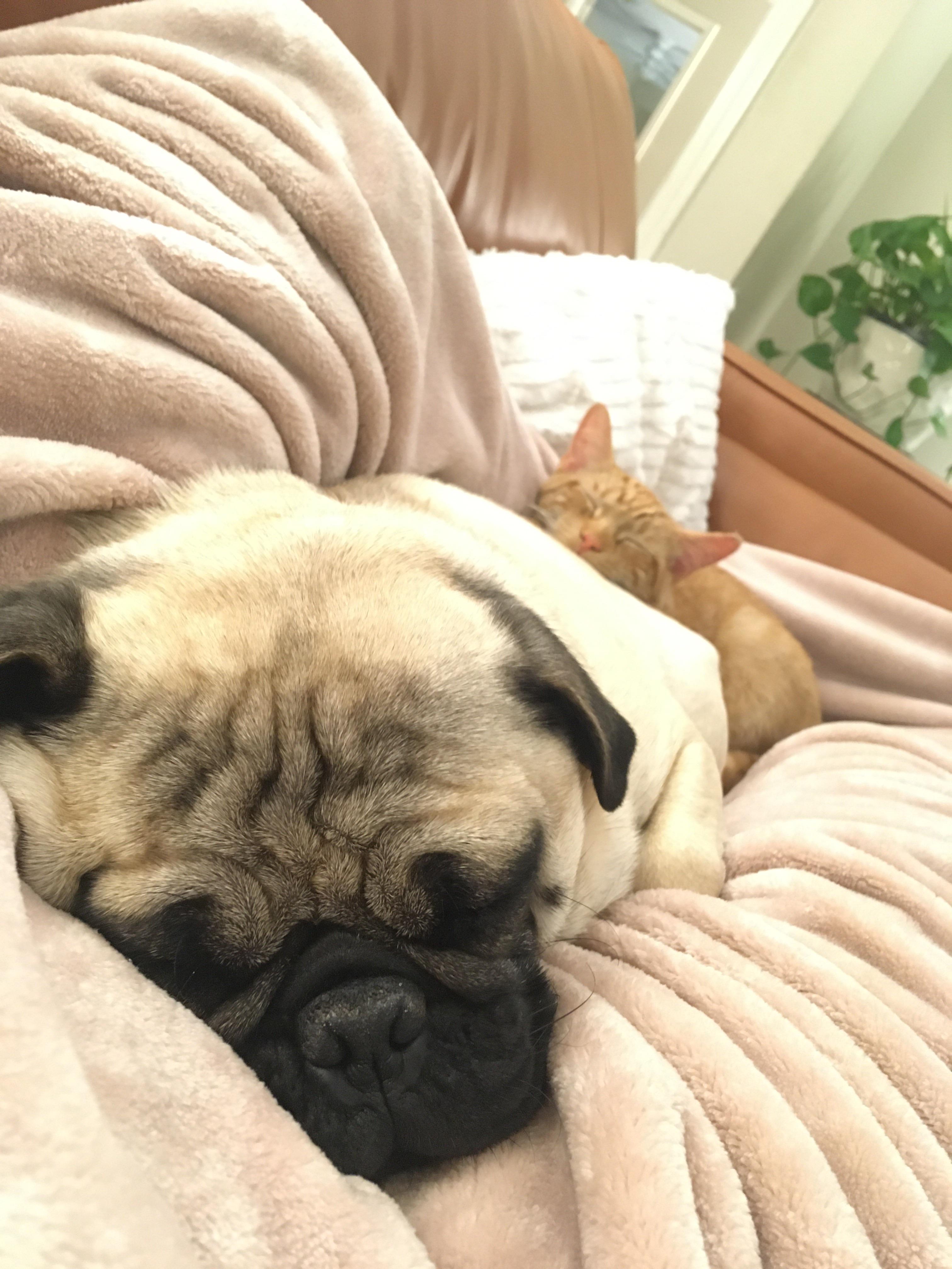 Cuddling with his big brother. | Scrolller