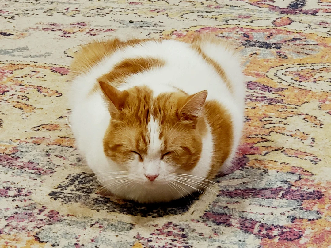 almost perfect ginger loaf 9.8/10 | Scrolller