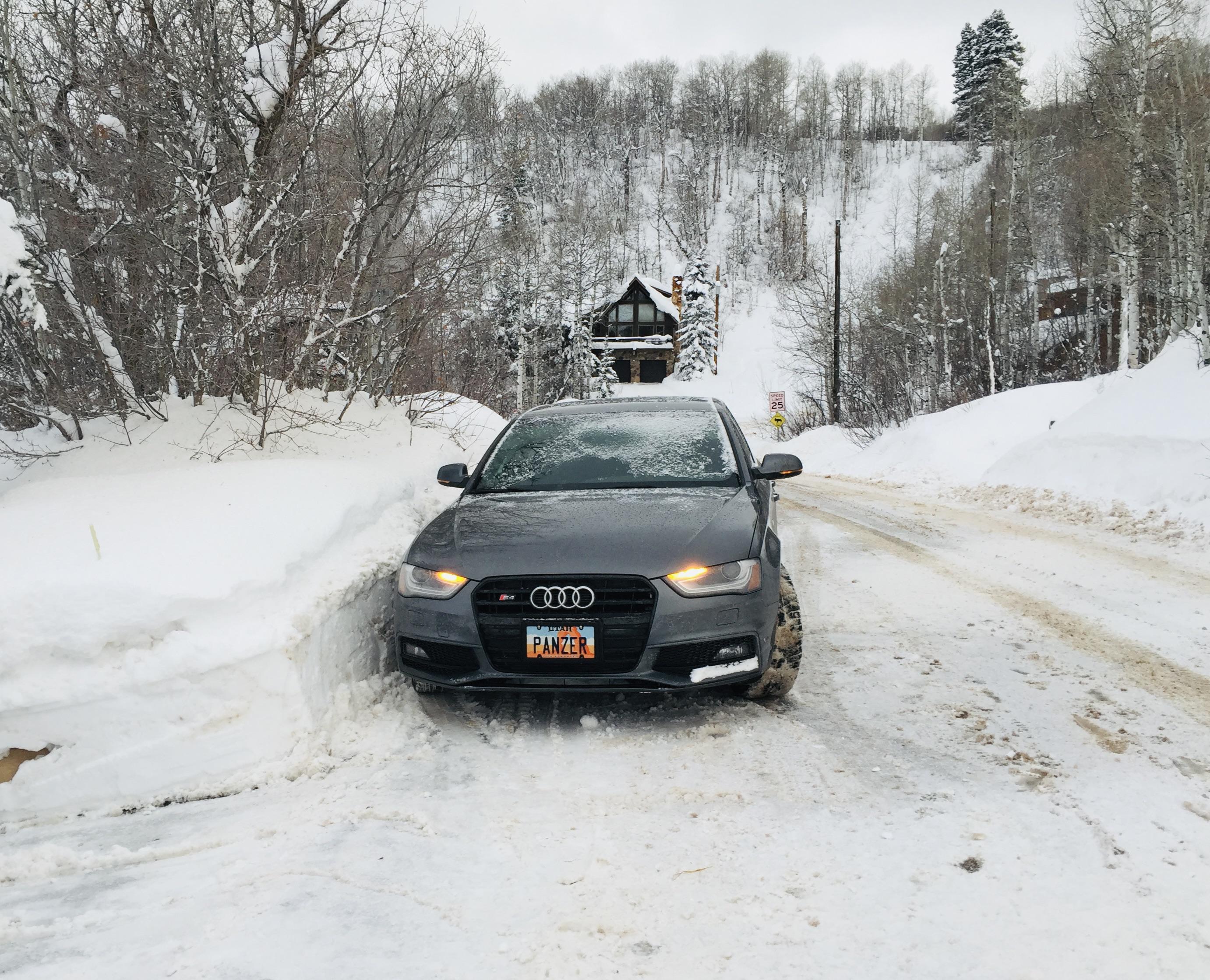 Nothing stops Panzer | Scrolller