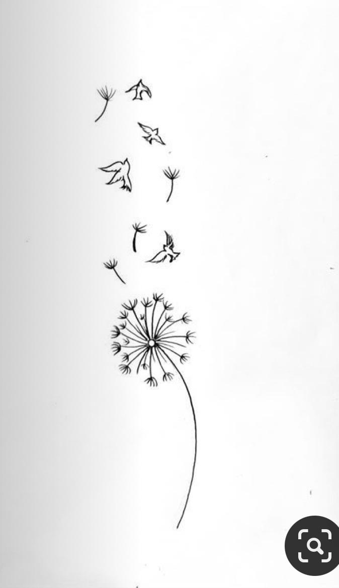 Placement | Scrolller