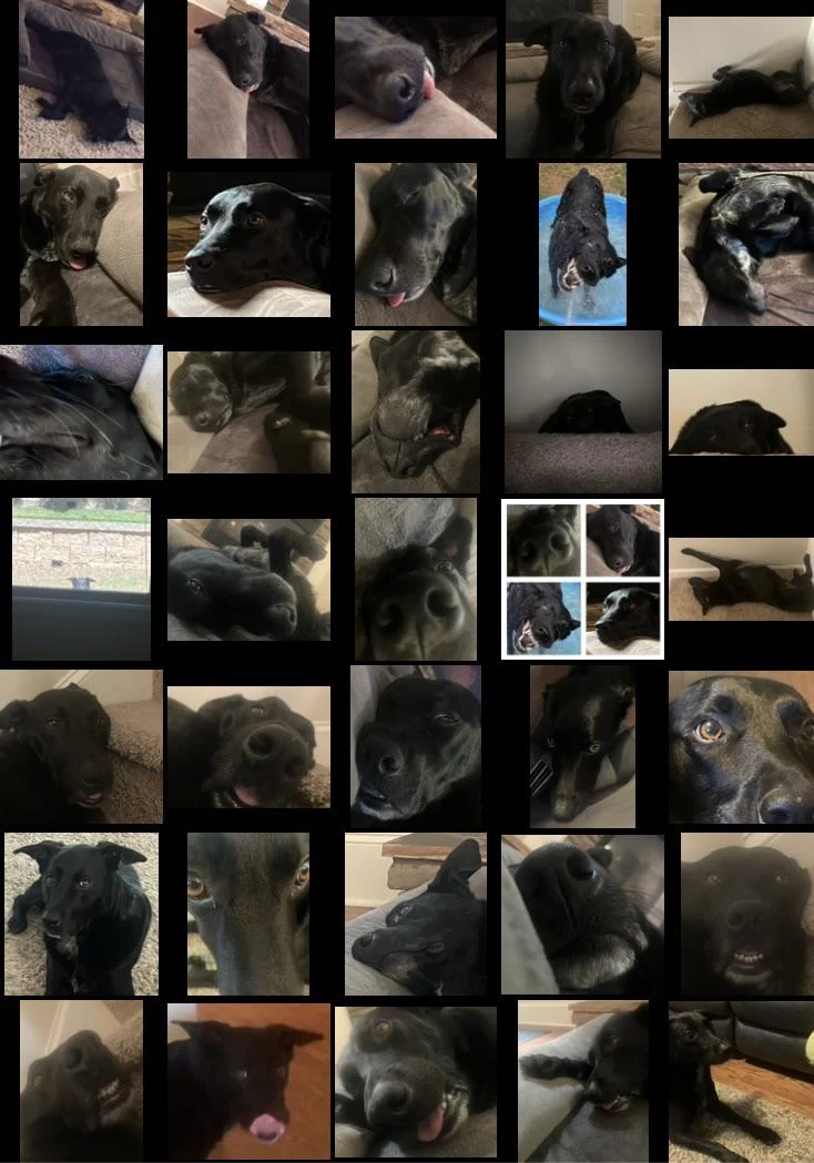 Compilation of Mark | Scrolller