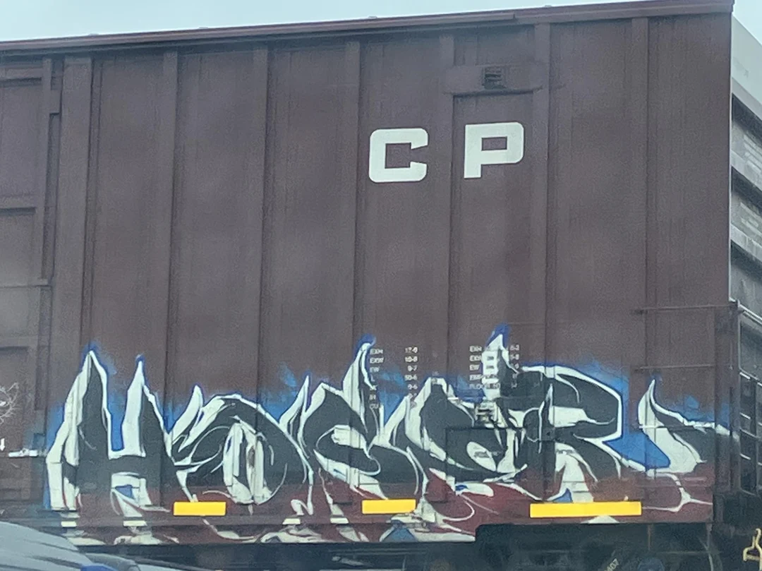 Hoser on train | Scrolller
