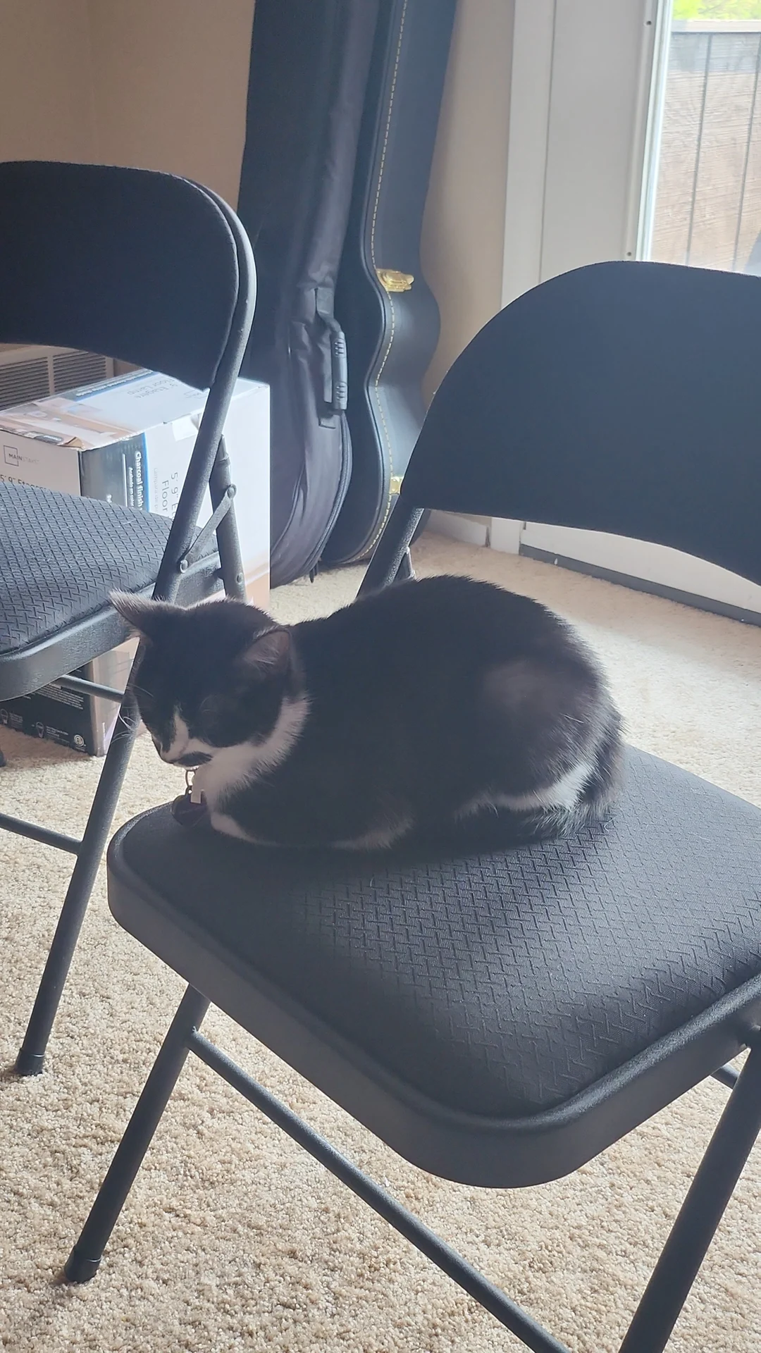 Sleepy Loaf | Scrolller