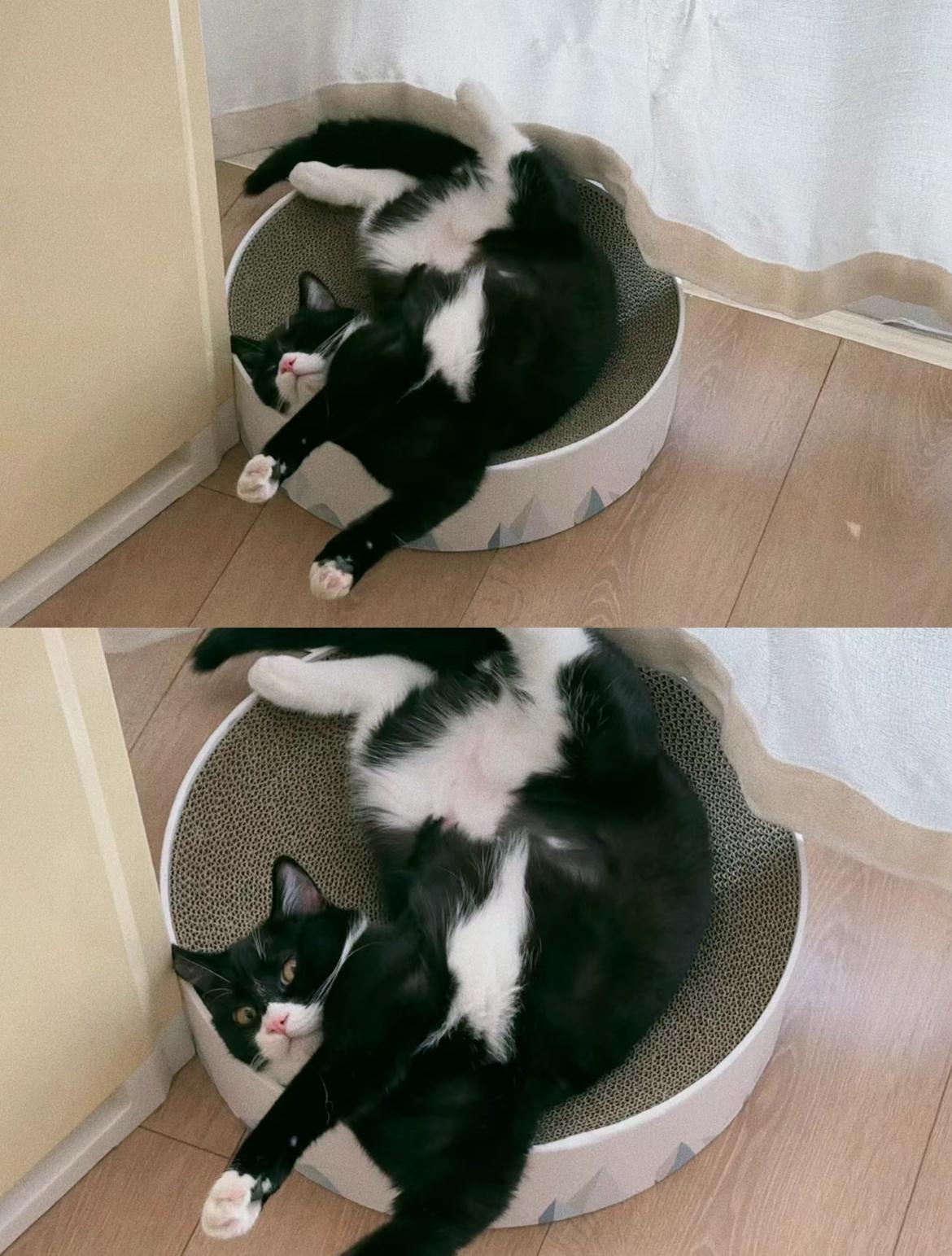 Stretching exercises | Scrolller