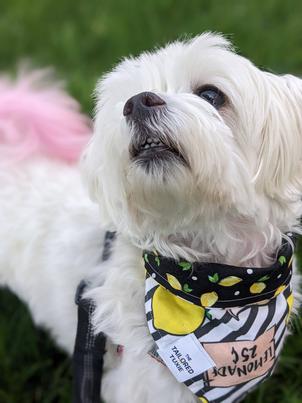 This is her concentration face | Scrolller