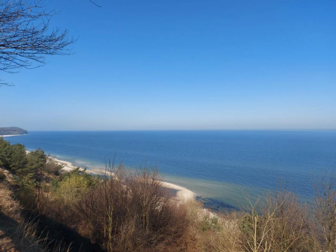 Memories... Memories | Scrolller