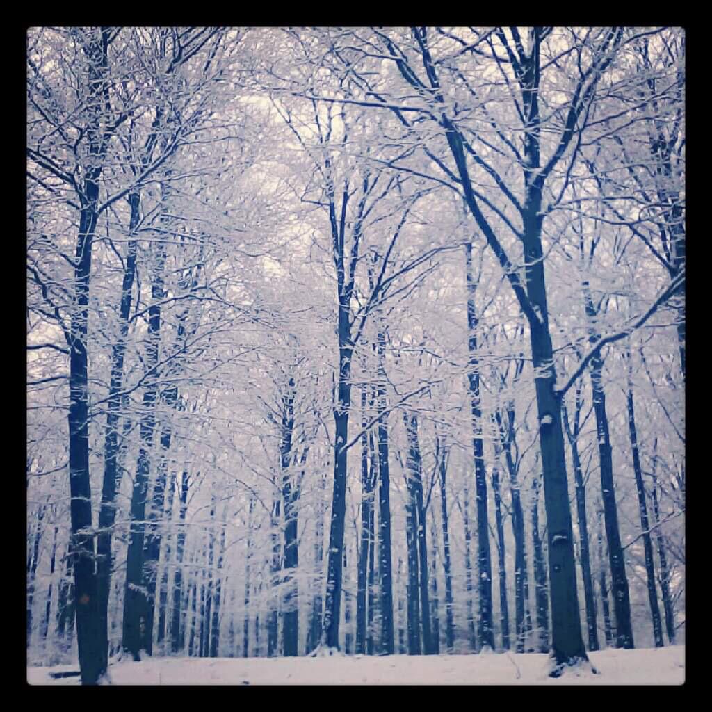 Winter in the southern Sweden. Gallows Hill, Halmstad | Scrolller