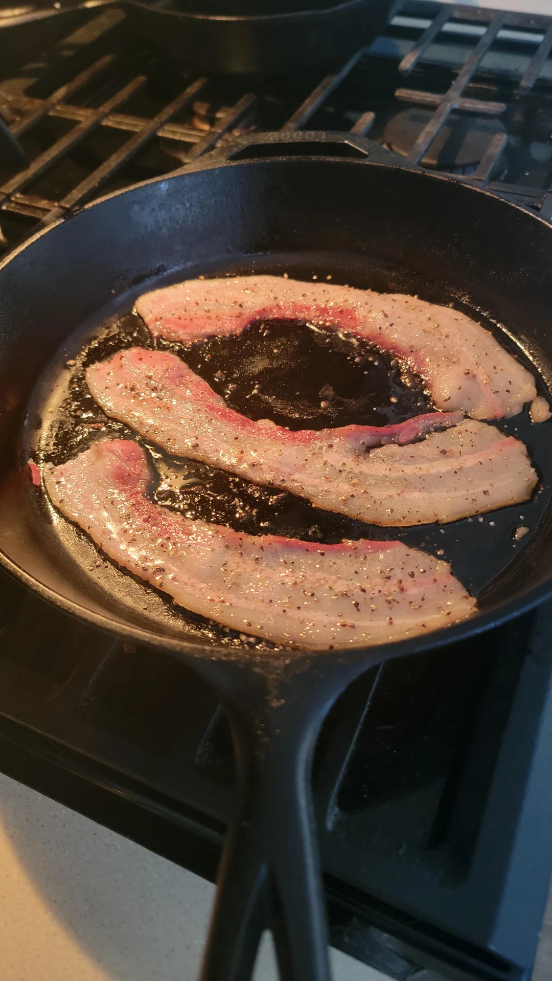 Fresh Bacon | Scrolller