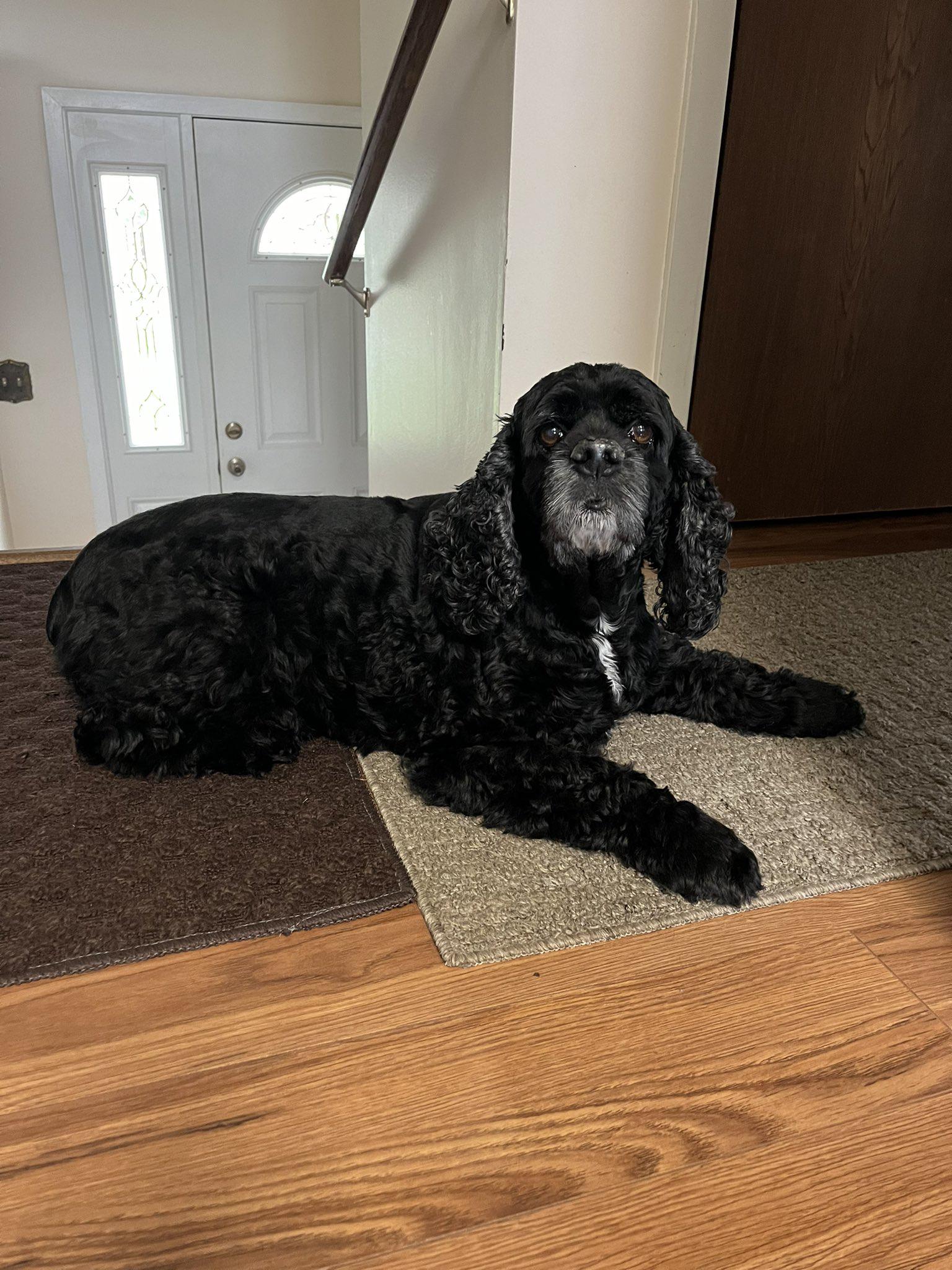 First pic from her adopted house