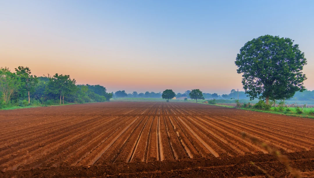Fertile Soil Farm in India | Scrolller