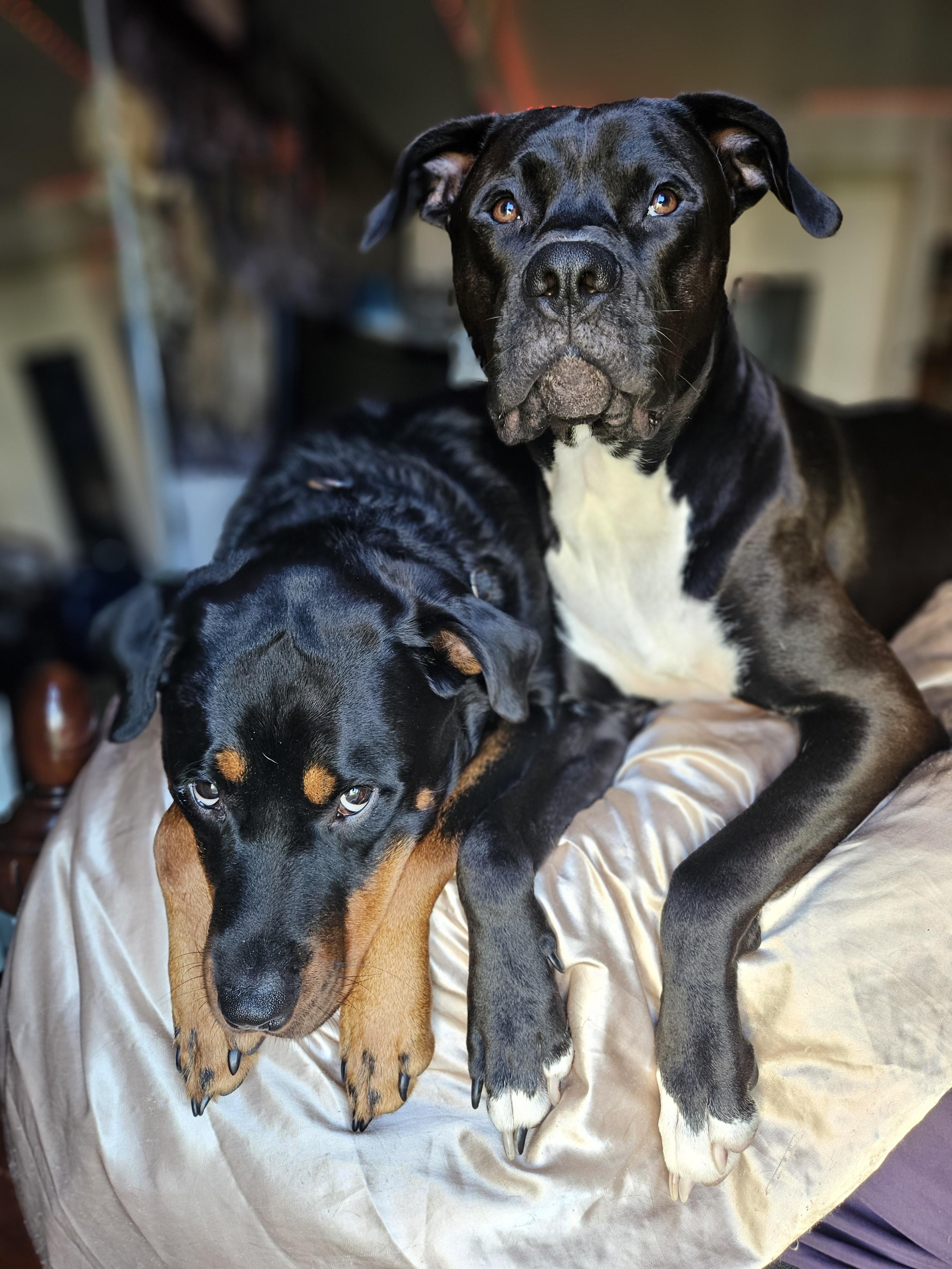 Rex and Opa | Scrolller