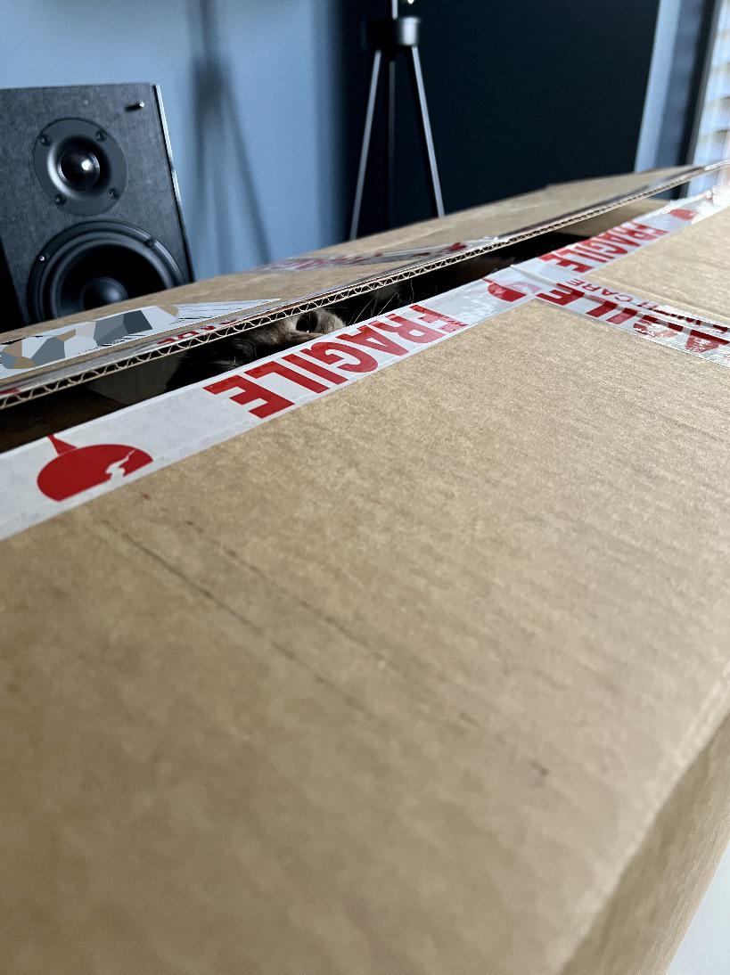 Special Delivery! | Scrolller