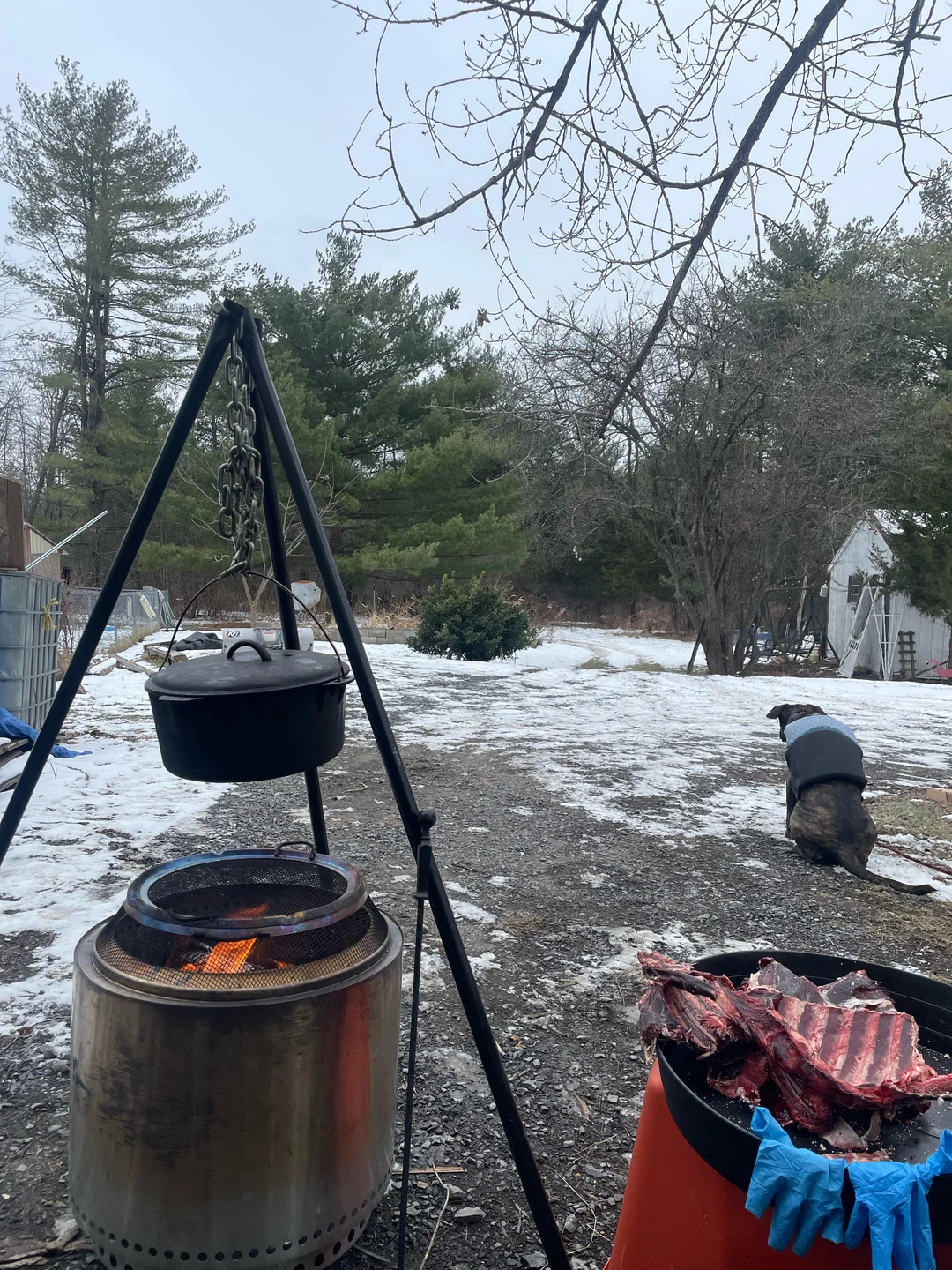 Venison bone broth | Scrolller