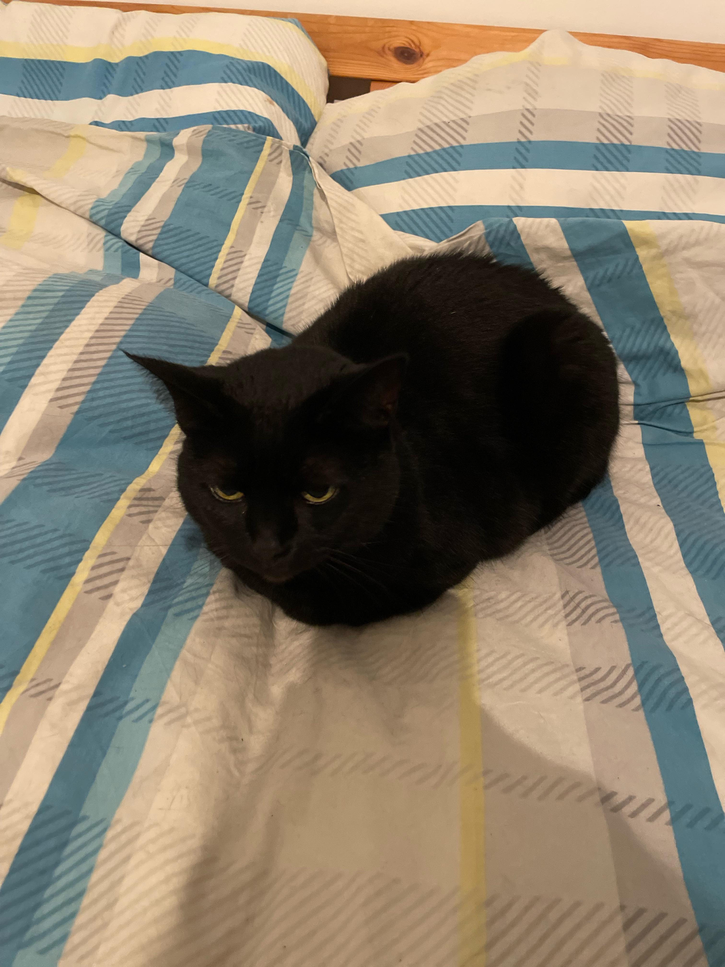 Loaf check | Scrolller