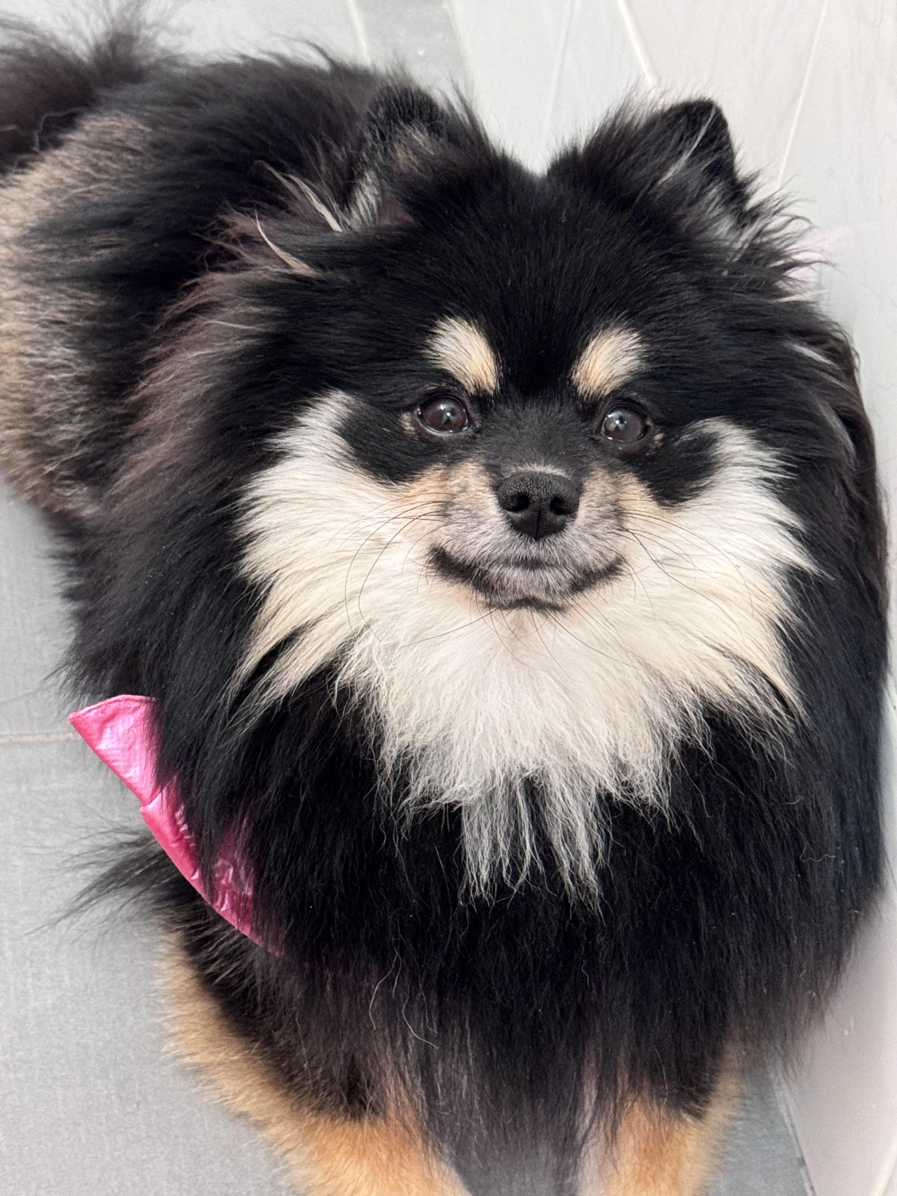 Apple 🍎 always looking so innocent! | Scrolller