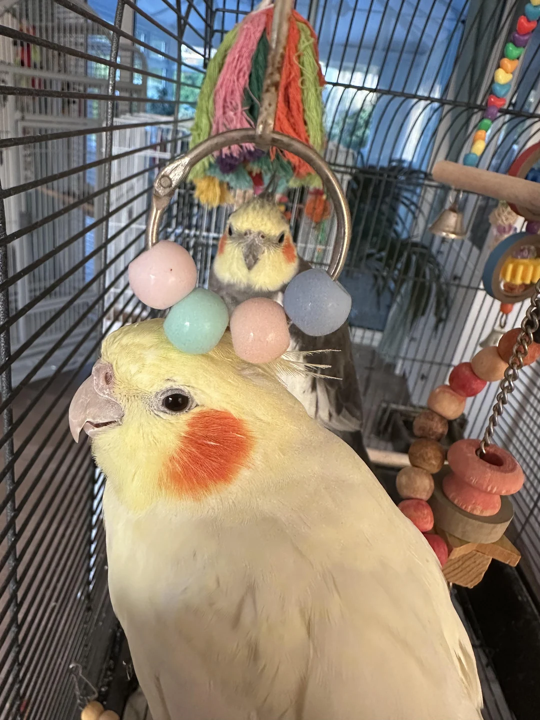 picture frame | Scrolller