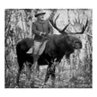 Teddy Roosevelt riding a bull moose (1912) | Scrolller