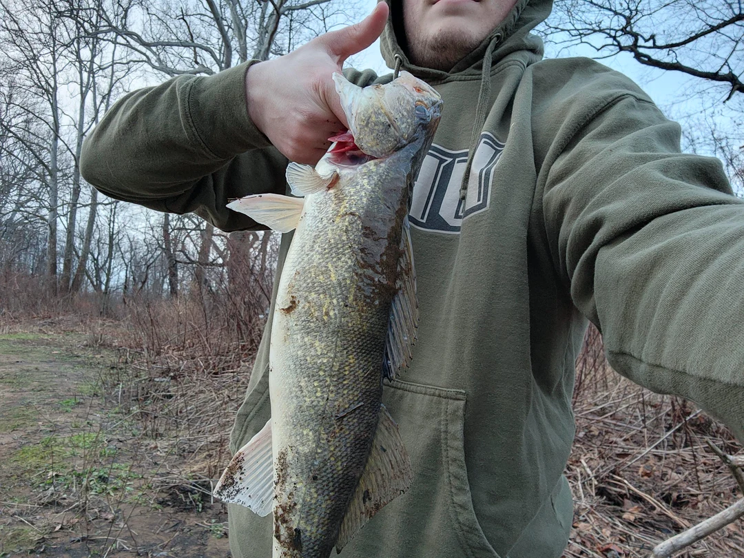 First walleye | Scrolller
