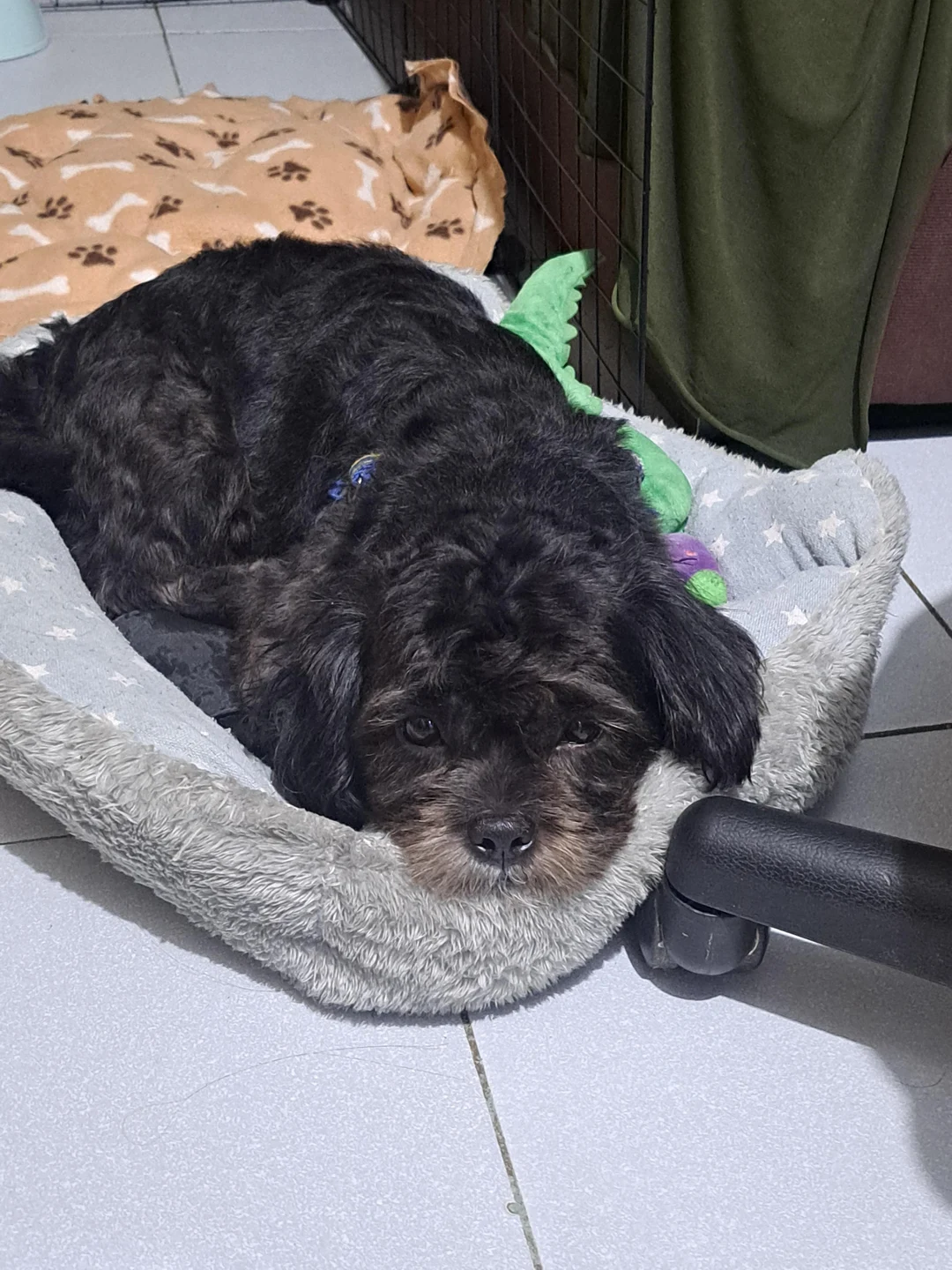 My cute little baby is sleeping | Scrolller