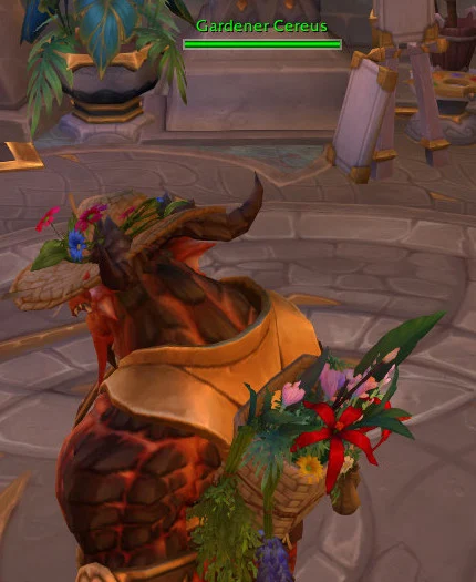 Anyway to pick this hat and cloak Transmog? | Scrolller